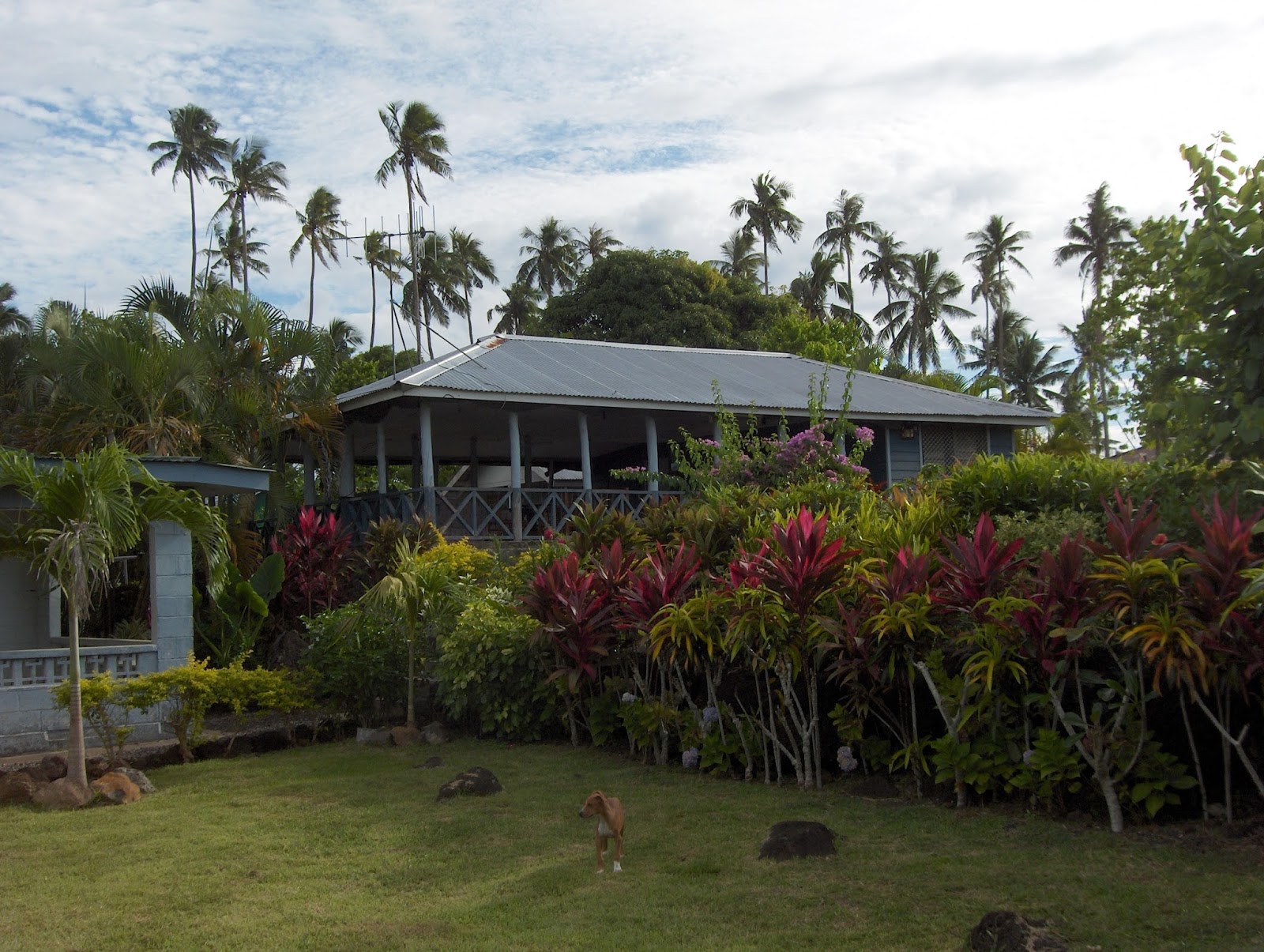 Samoa Revisited: Lupe Ieremia and The Village of Falelatai