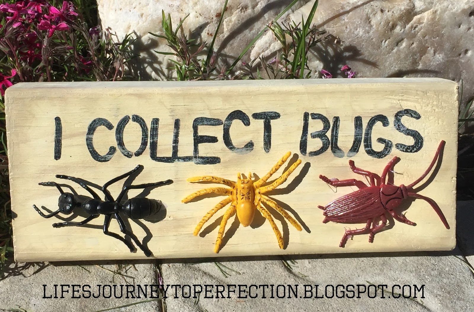 Life's Journey To Perfection: "I Collect Bugs" Sign Tutorial