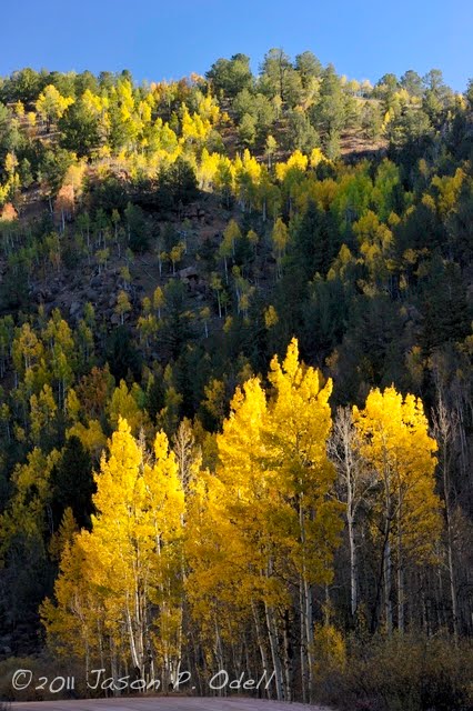 Terry's Place: Friday Field Trip - More Fall Colors
