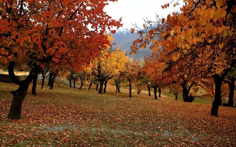 Hunza Autumn Tour: 2019