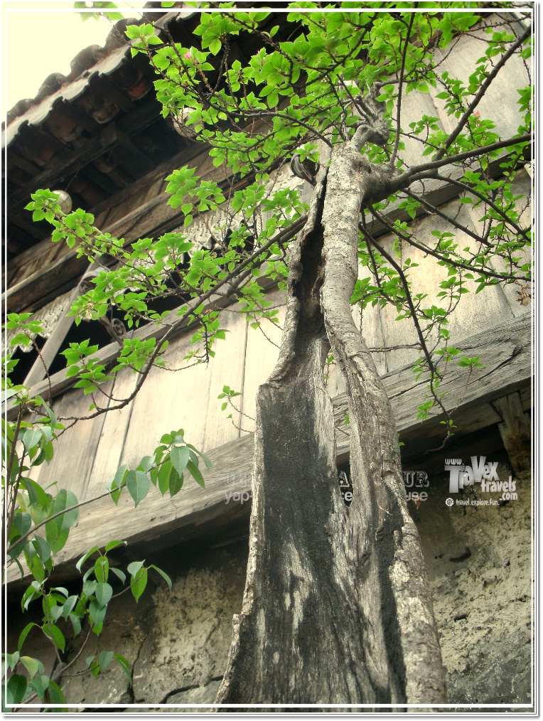 Yap-Sandiego Old Cebu House | Photos - Travex Travels - Travel. Explore ...