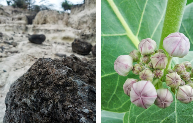oinge: Olorgesailie Prehistoric Site