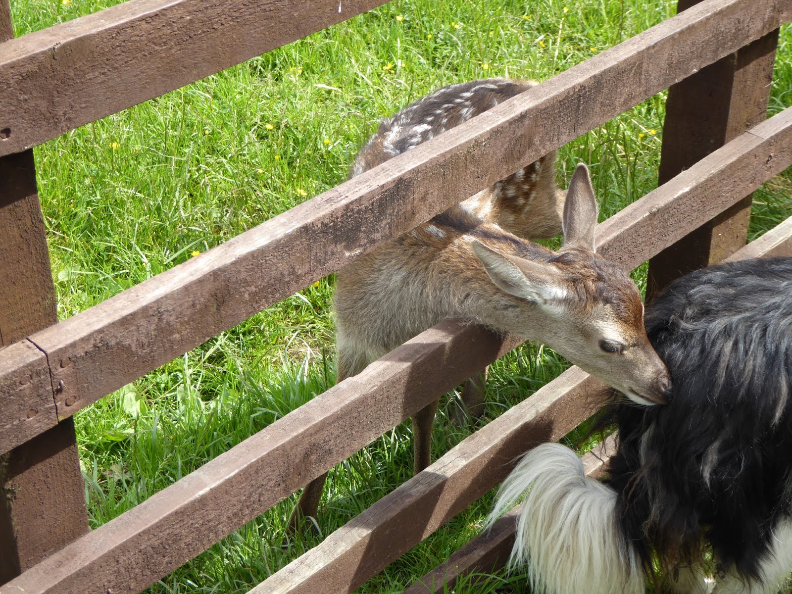 Wild and Wonderful: March 2016