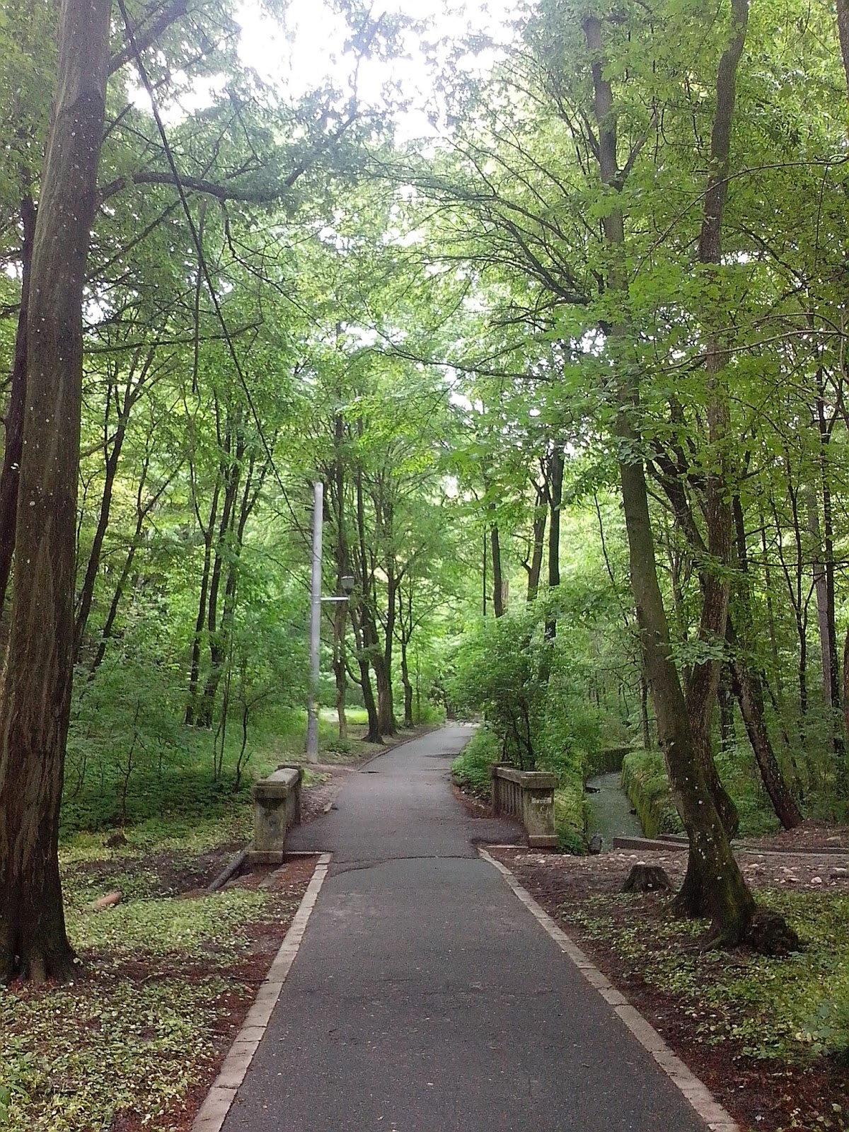 Calatoriile Mariei: O scurta calatorie prin Padurea Trivale, dupa Paste