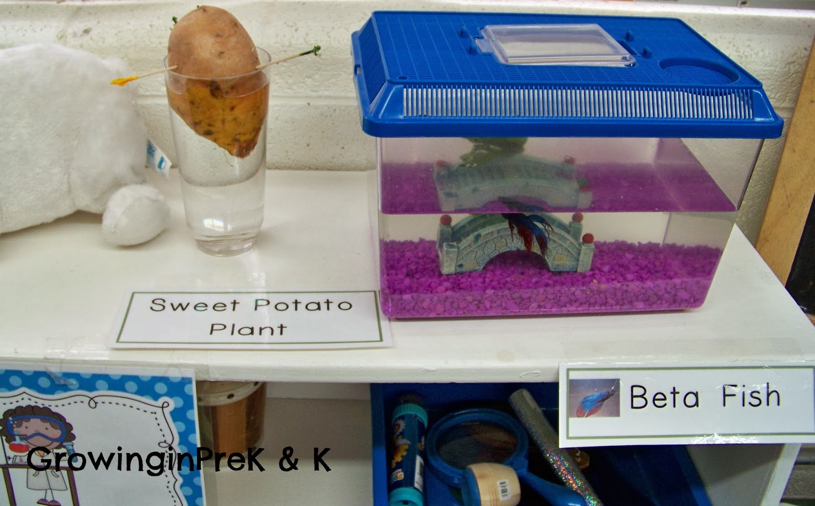 GrowinginPre-K and K: A Little Science