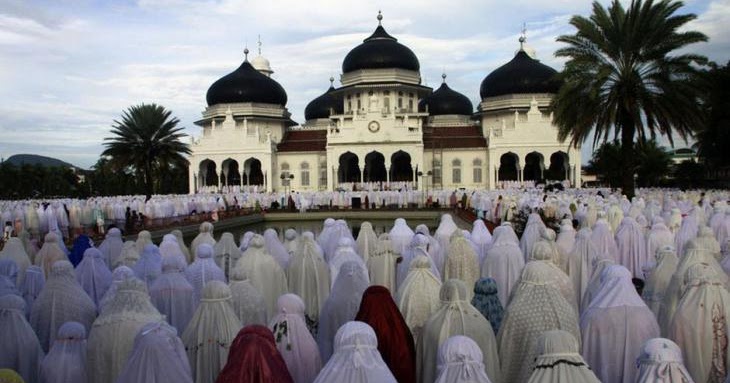 Emilie Pilthammar: Slöja - av egen fri vilja..