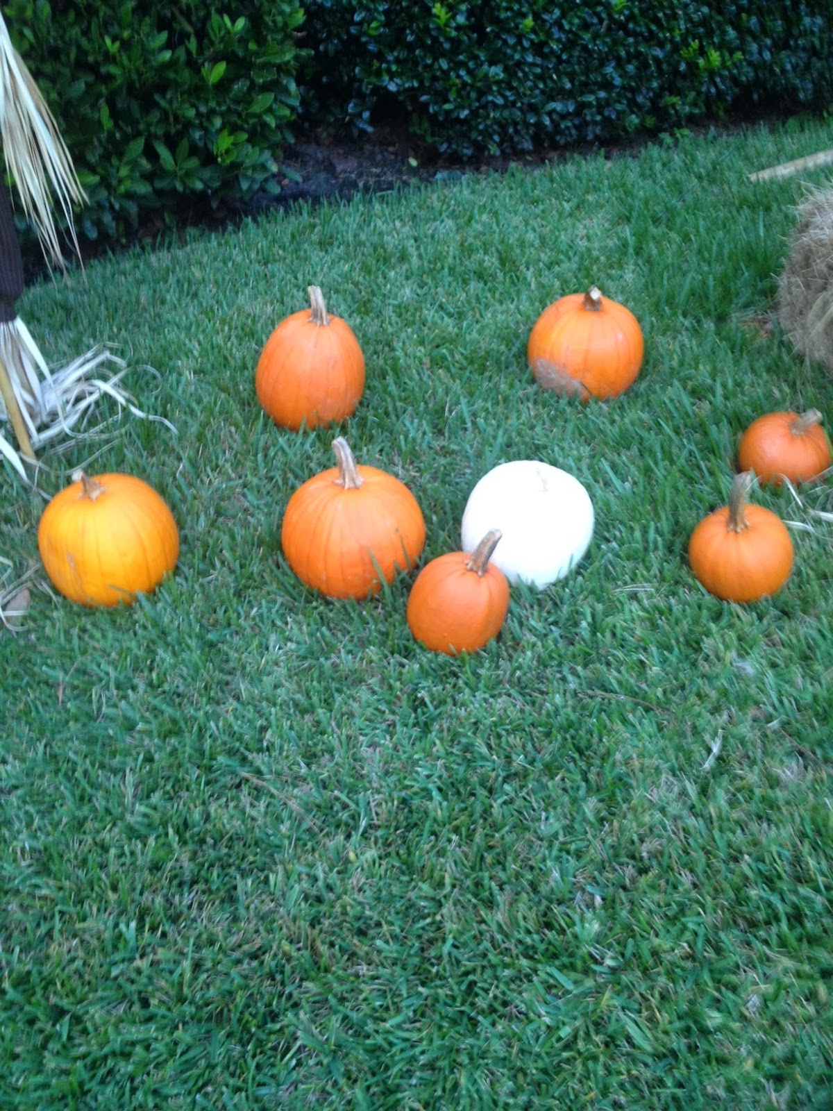 Poppies and Wellies: How to Make a Haunted Pumpkin Patch