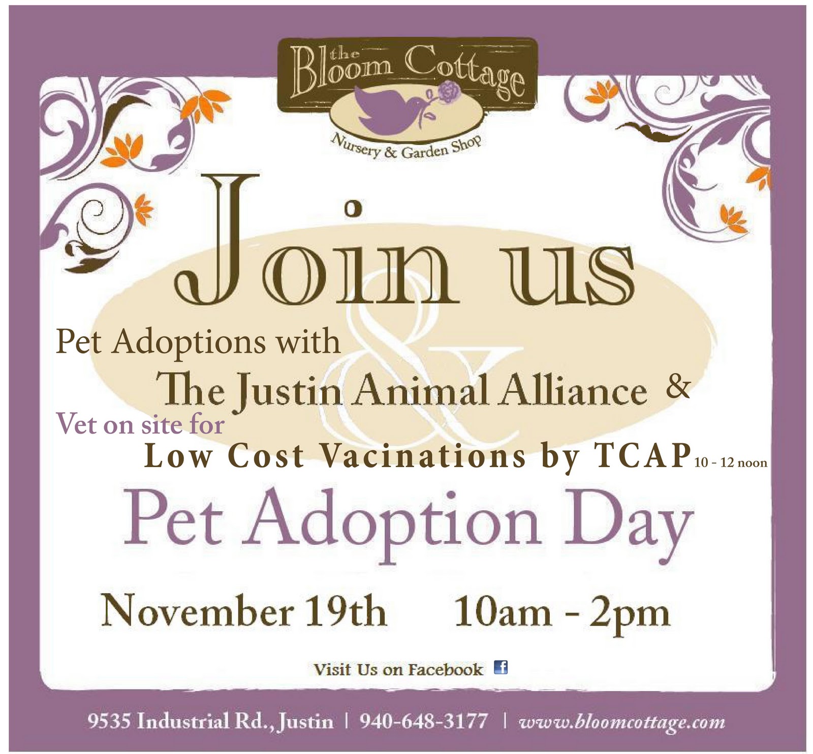 The Justin Animal Alliance Successful Adoption Events the-justin-animal-alliance-successful-adoption-events