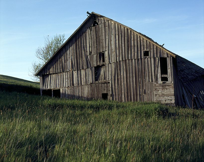 The Jacob Springs Hillbillies: Old Barns...