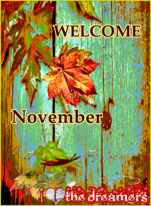 Welcome November - picture