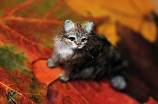 Ririne's Miniatures: Toronto miniature show art exchange for a 1/12 ...