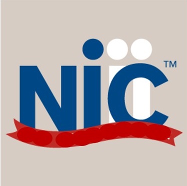 REVISTA CREACIÓN CIENCIA Y VIDA: NIC 20 Contabilización de las ...