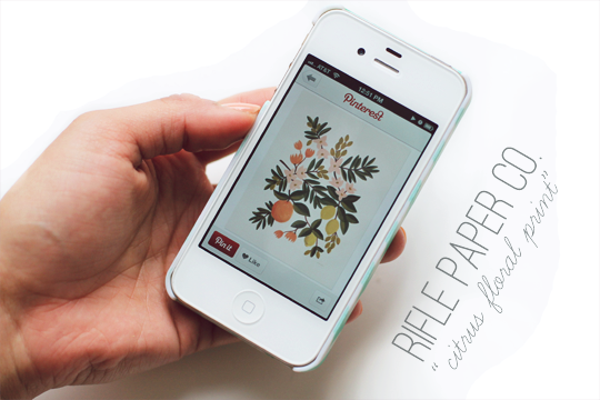 sitting in our tree: diy - rifle paper co. inspired spring wreath