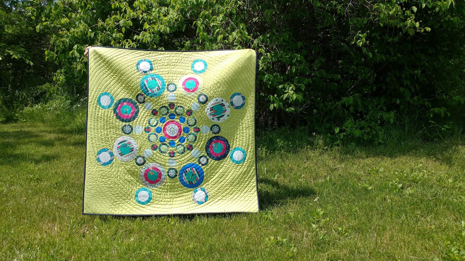 Slice of Pi Quilts: A Surprise for Mister Domestic