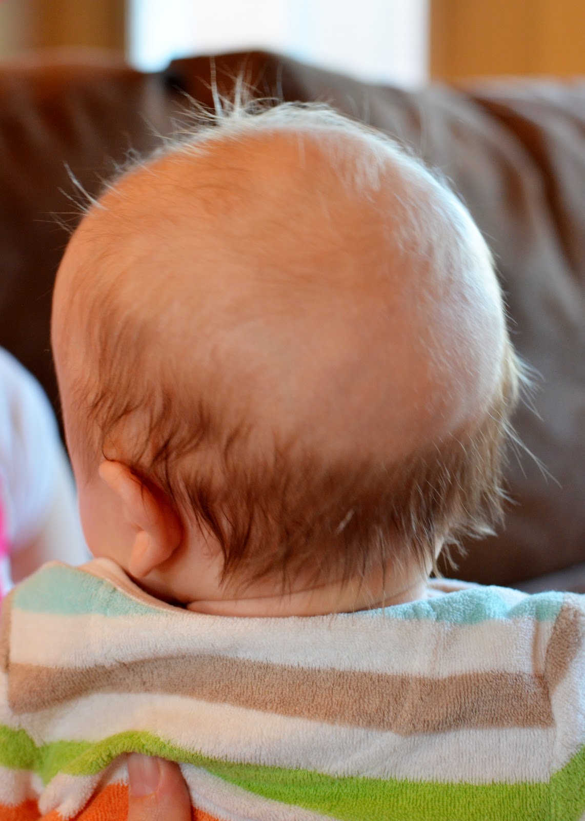 through the looking glass: bryan and emily wheeler: balding