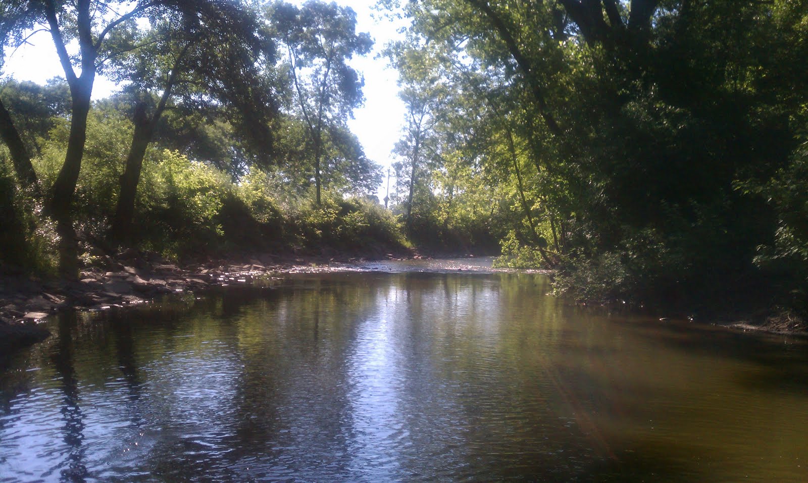 Illinois Wisconsin Fishing: warm water fishing the root river