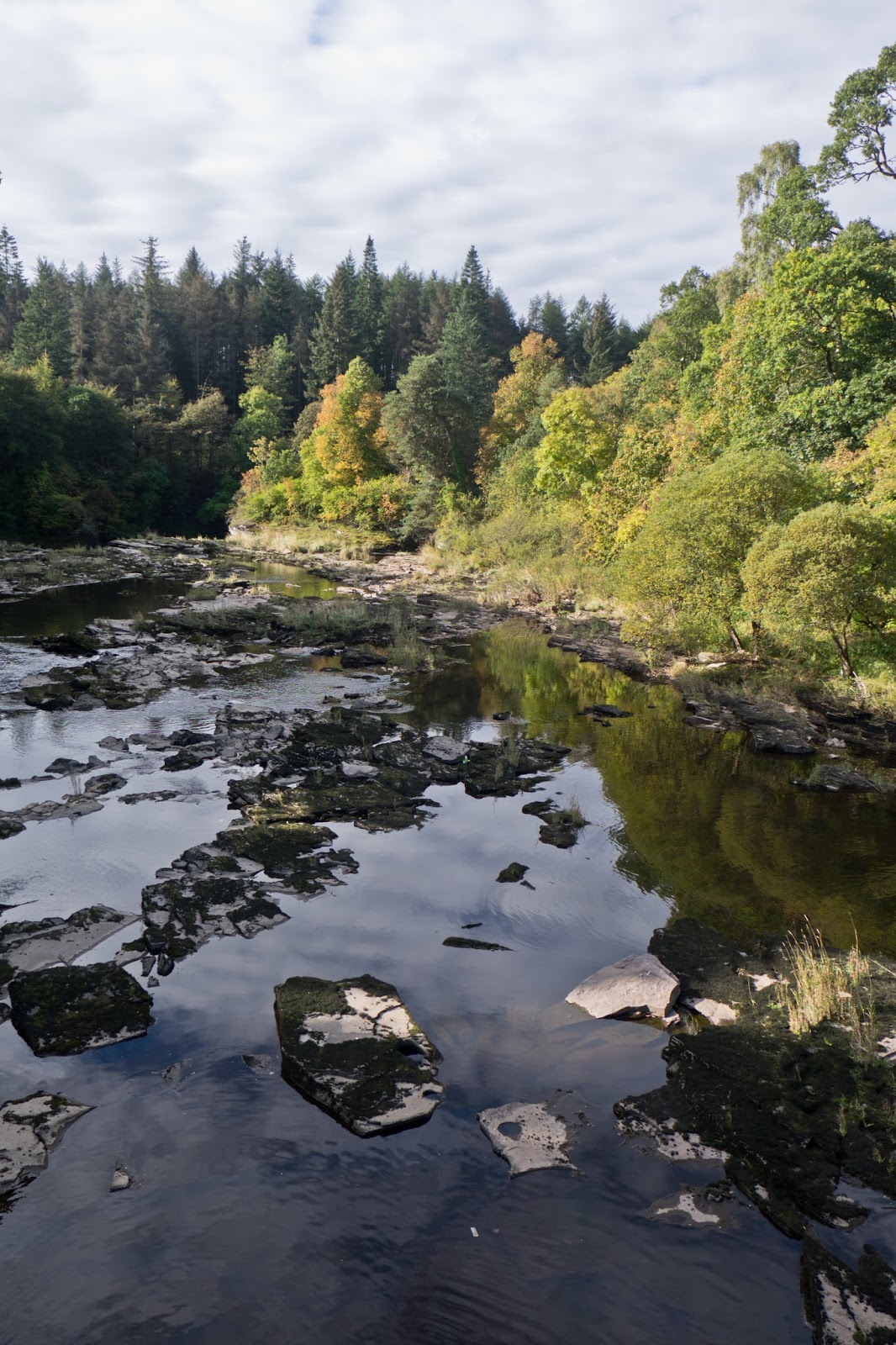 Wigtwizzle - Norman Smith's Travel Blog.: The Clyde Gorge.