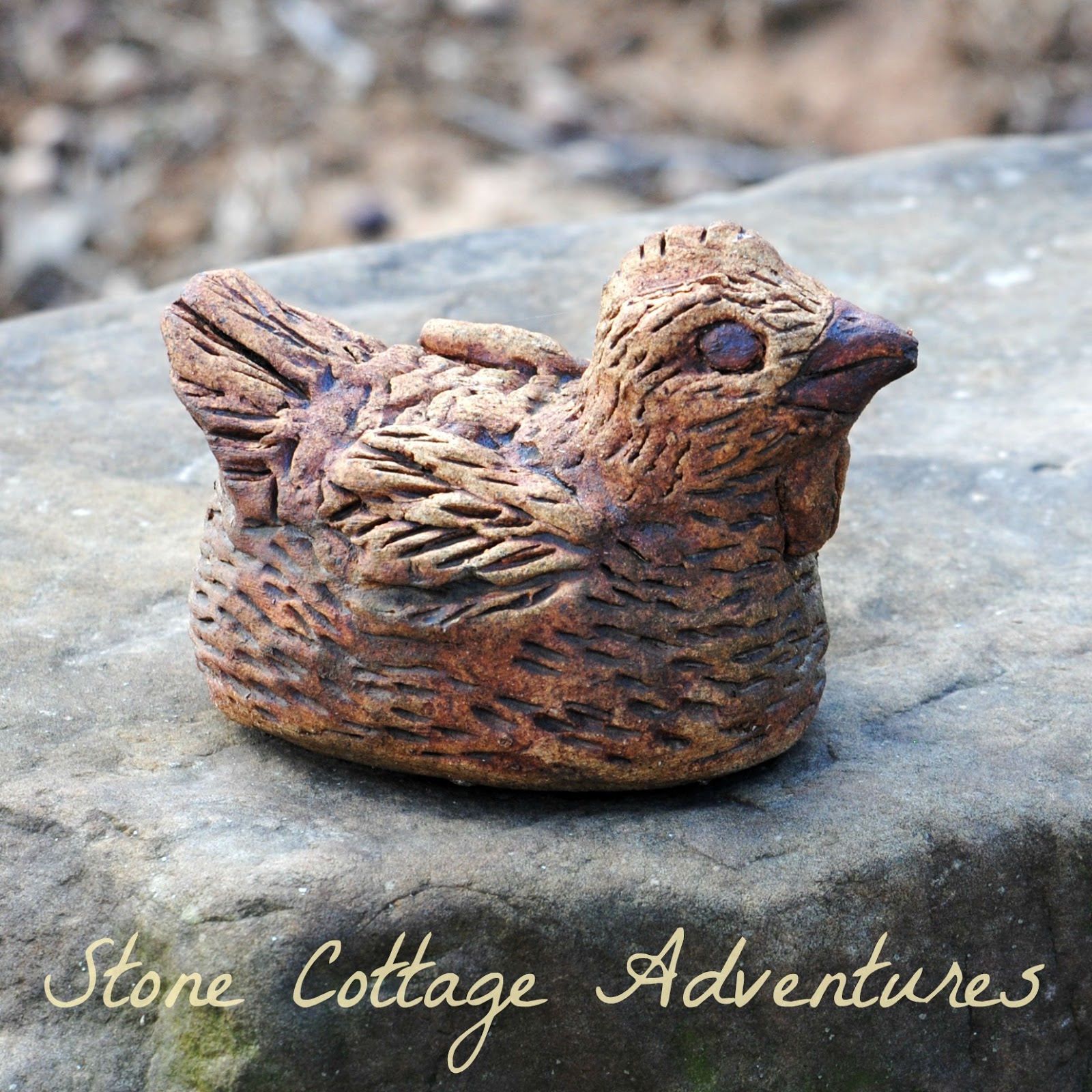 Stone Cottage Adventures: Sweet Little Chickens
