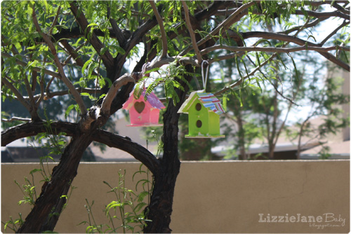 Spring Time Bird Houses