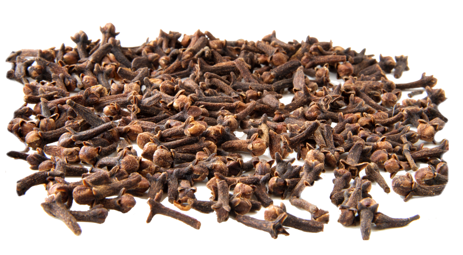 PUBLIKADO: Clous de girofle