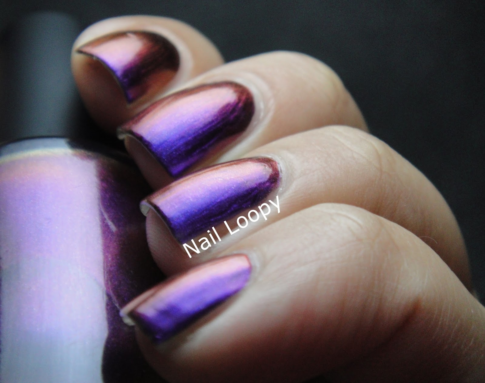 nail loopy: ILNP CYGNUS LOOP