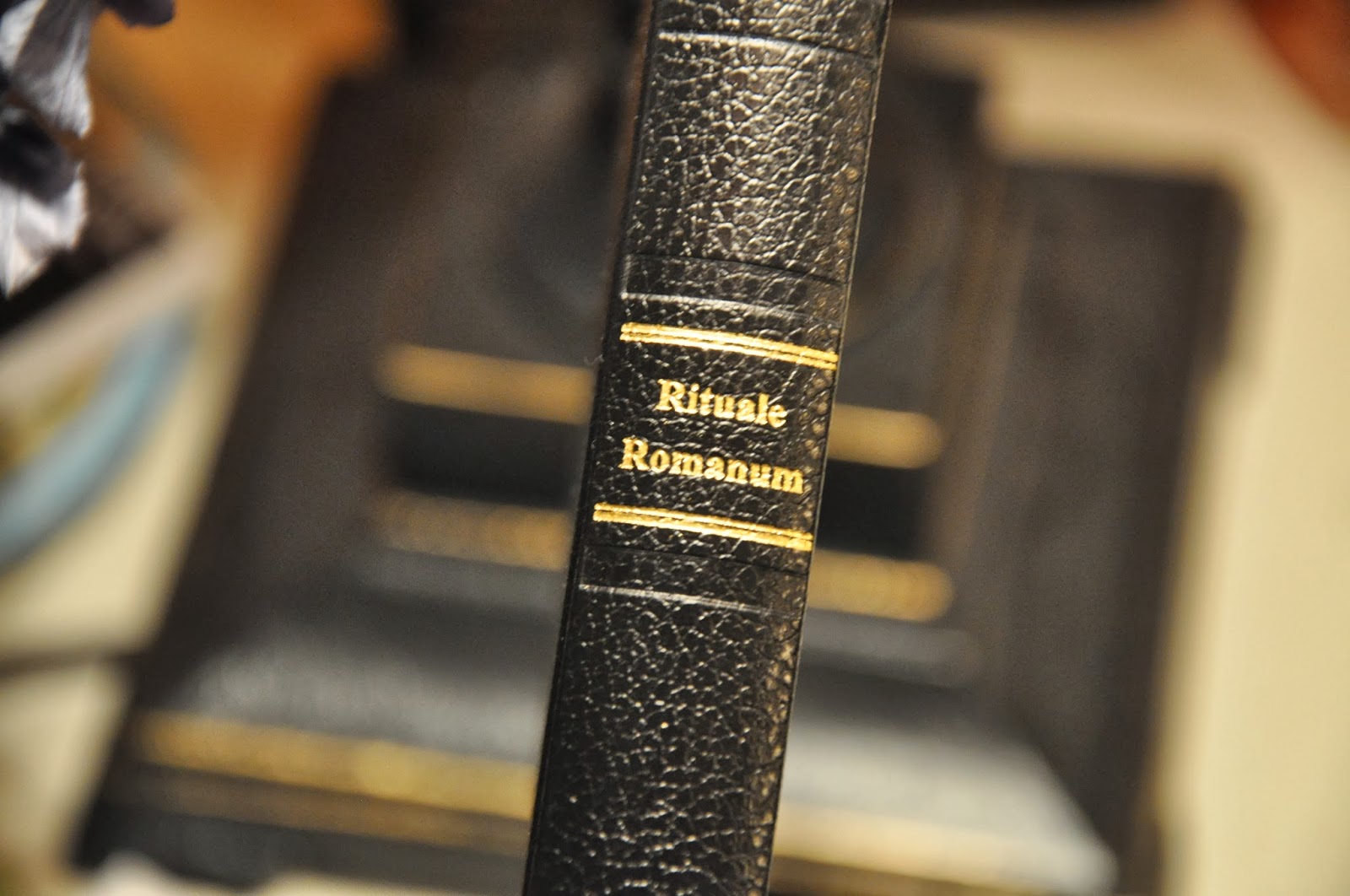 Orbis Catholicus Secundus: From the Vatican: the New Rituale Romanum ...