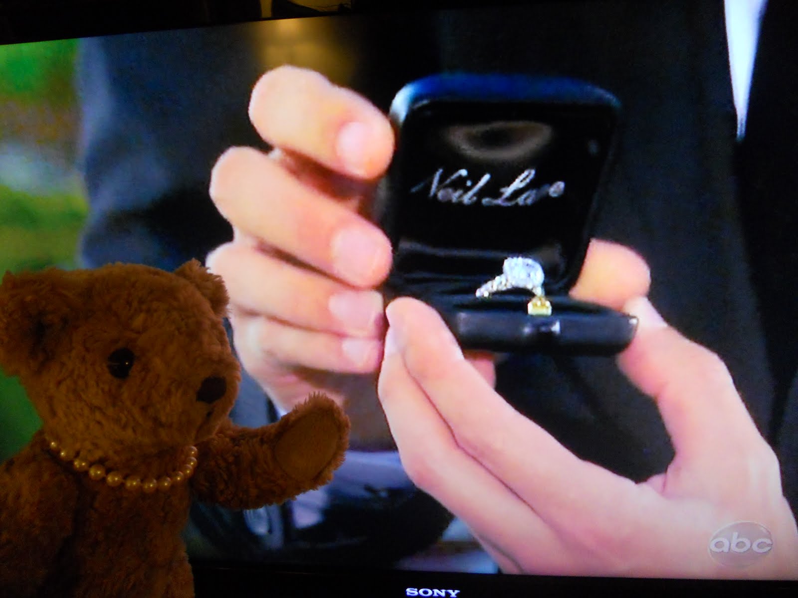 Teddy and Nibs: Ashley Hebert's Engagement Ring