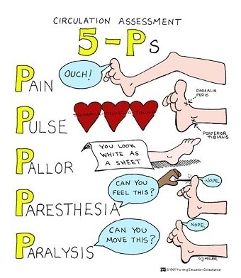Notez On Nursing....: The 5 P's.....