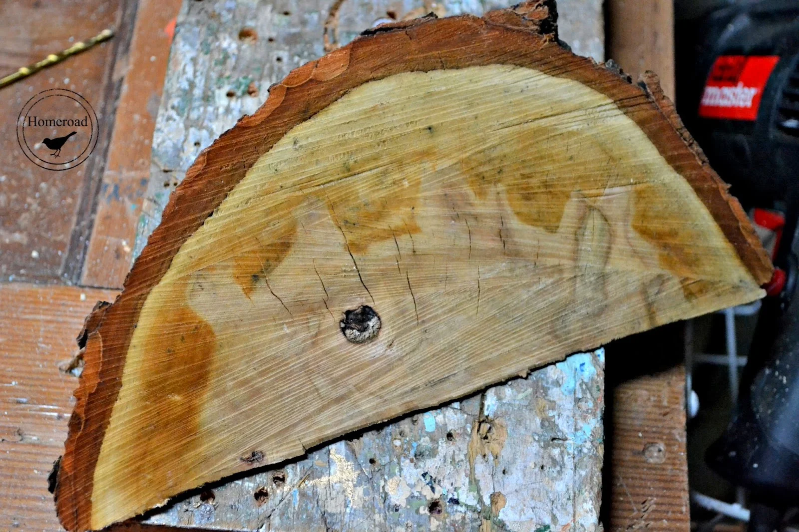 Junkers United with Family Tree Shelves and a Giveaway!