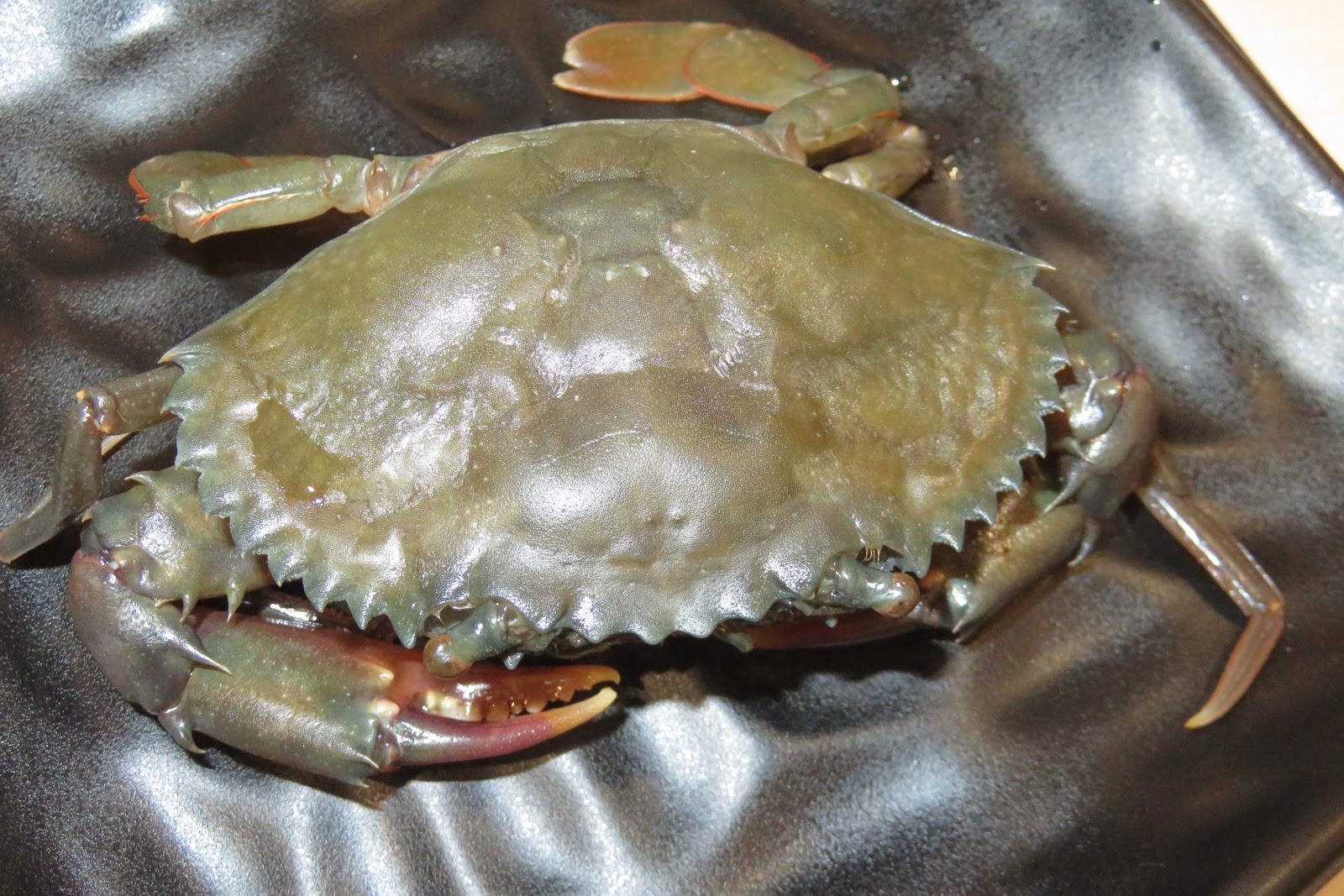 Kee Hua Chee Live!: MANDY YAU OF AKARI JAPANESE RESTAURANT HOSTED ...