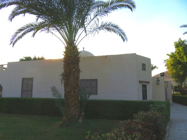 The Travelling Lindfields: Howard Carter House and the Tomb of Tutankhamun