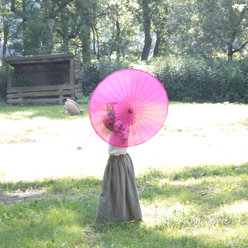 Untamed Spirit: Old NorthWest Territory Primitive Rendezvous 2012