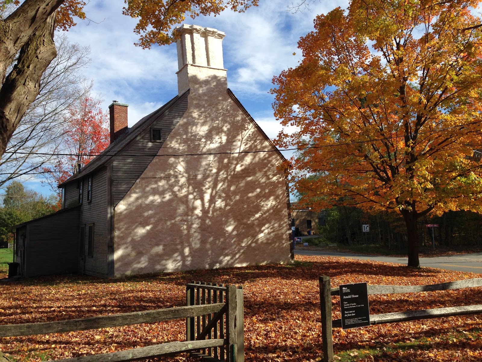 Taylor M. Polites: Falling Leaves