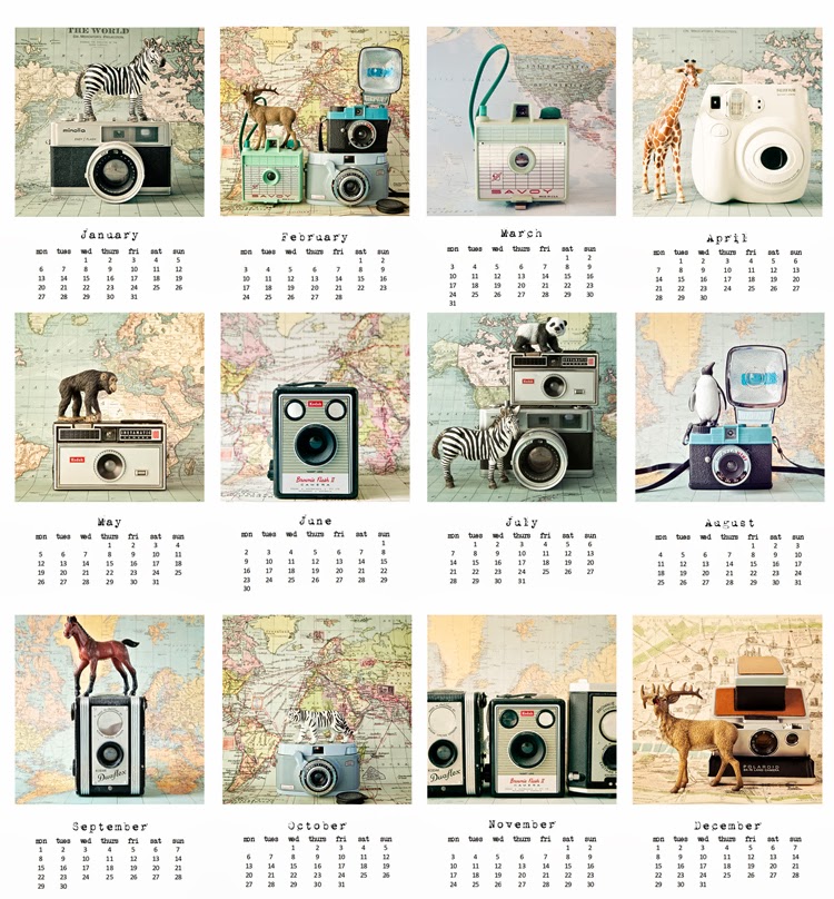 Susannah Tucker Photography: The Quirky Cameras - 2014 calendar