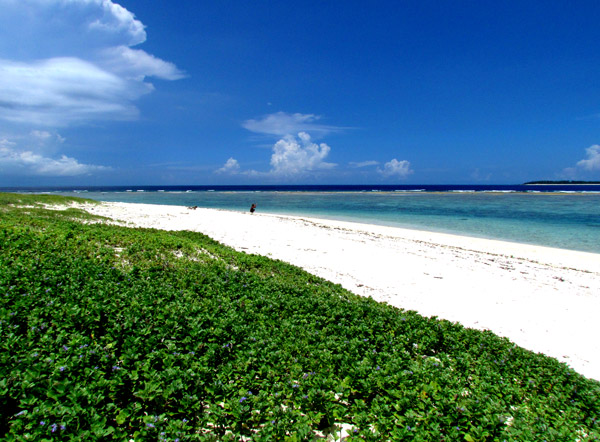 Map It! Okinawa: "Sesoko Beach"