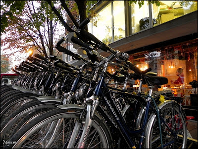 BikeBlogBeograd: toplicin venac,belgrade