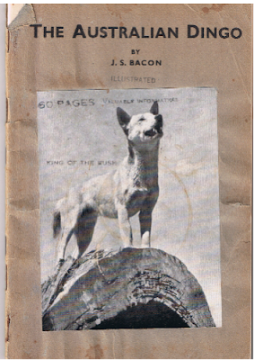 Dingo Lady: Dingo Books to Avoid