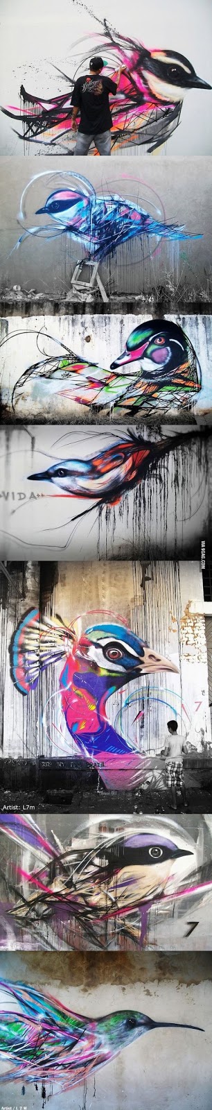 Beautiful Graffiti Birds By Brazilian Street Artist L7m - Art Collection