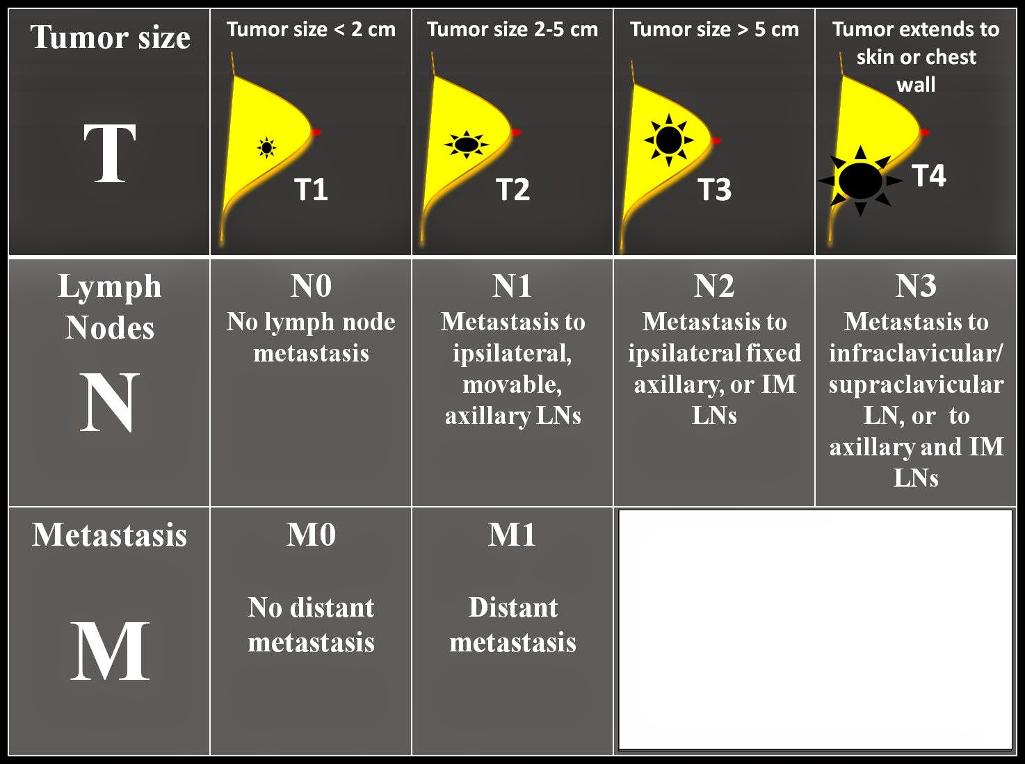 RSCM Indonesia Kanker: KANKER PAYUDARA ADALAH PEMBUNUH WANITA NOMOR ...