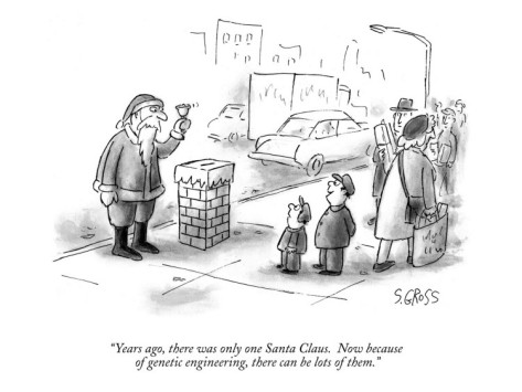 A Layman's Blog: 12/16/12 - 12/23/12