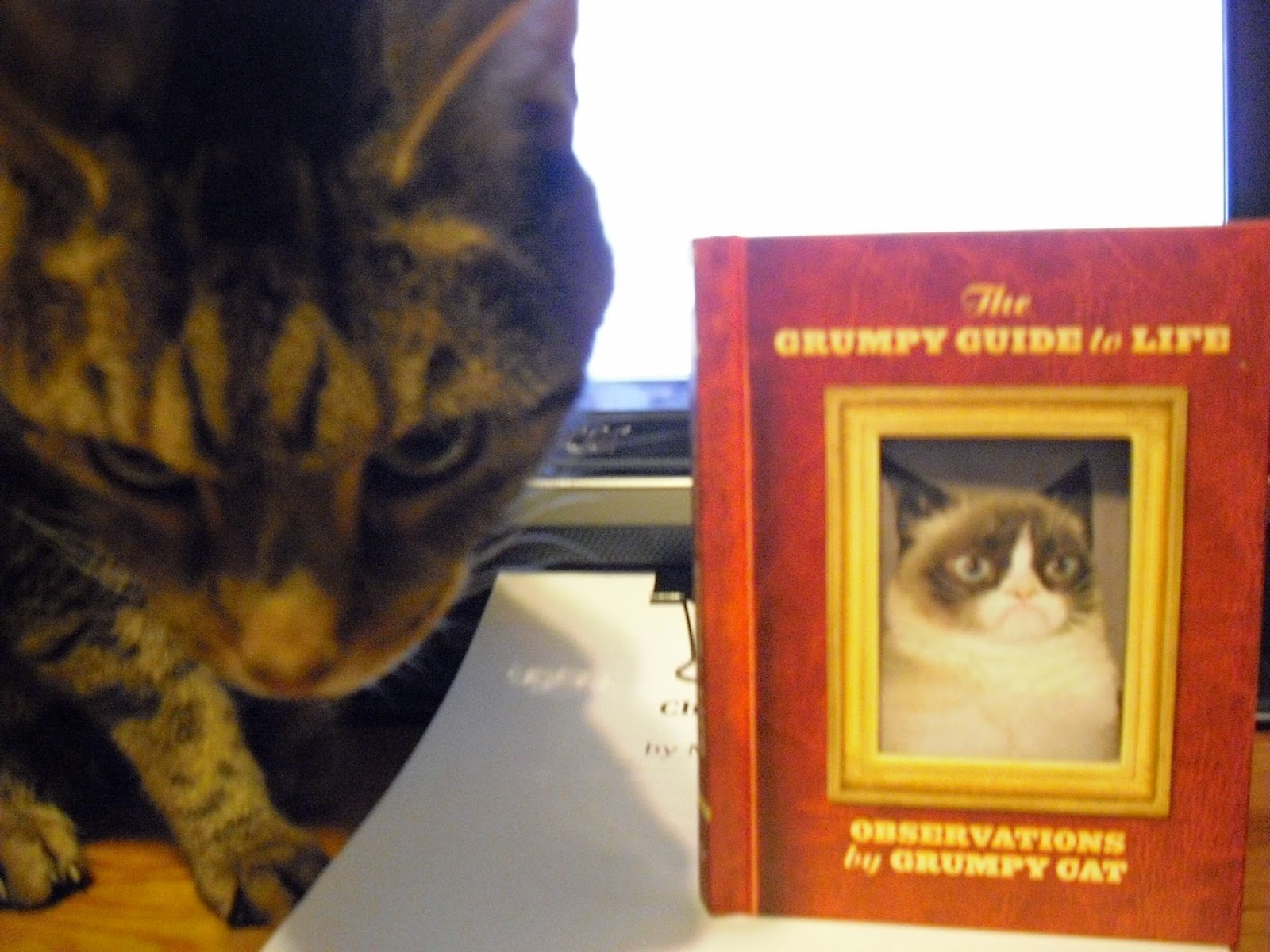 Grab A Book From Our Stack: "The Grumpy Guide to Life--Observations by ...