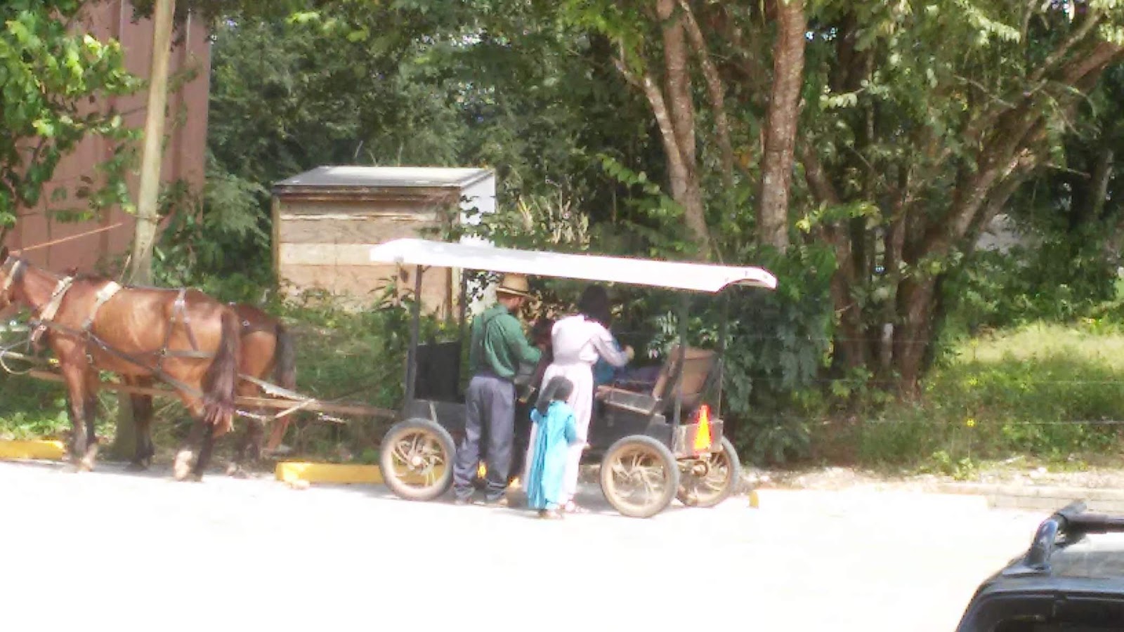 Spanish Lookout, Belize