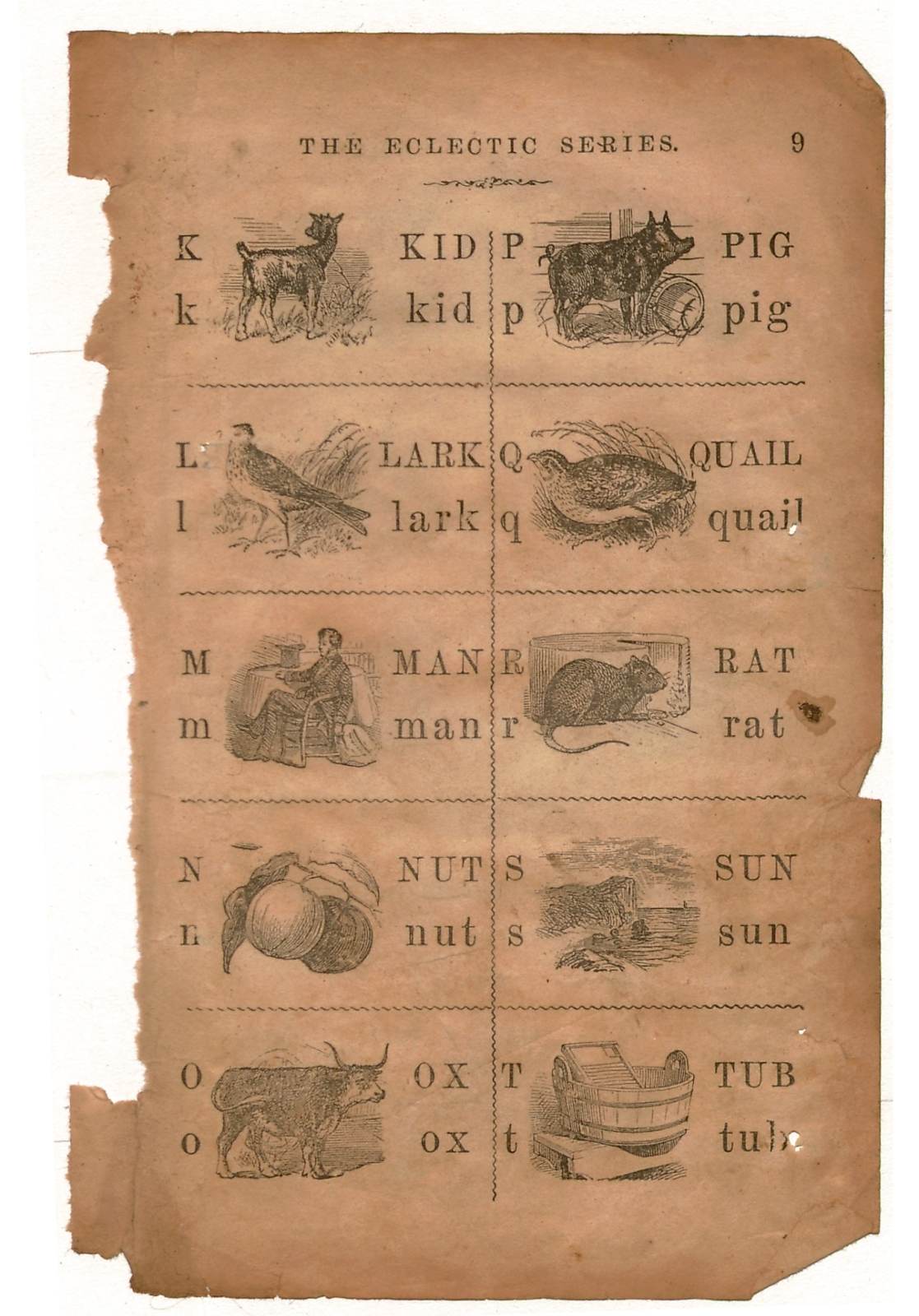 glenda's World : Old Reader Pages