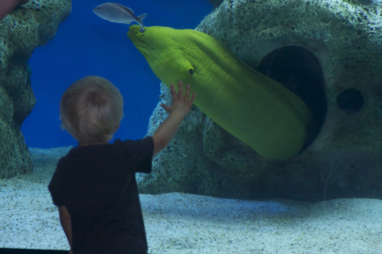 Just Keepin' Things Lively