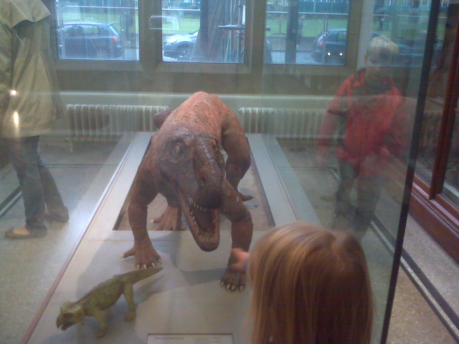 Jake of Winter Hill Adventures: Manchester University museum ,BBC ...