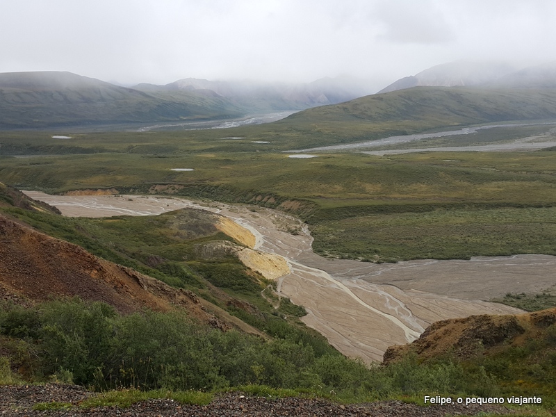 Denali National Park, no Alasca - como é o passeio de ônibus pelo ...