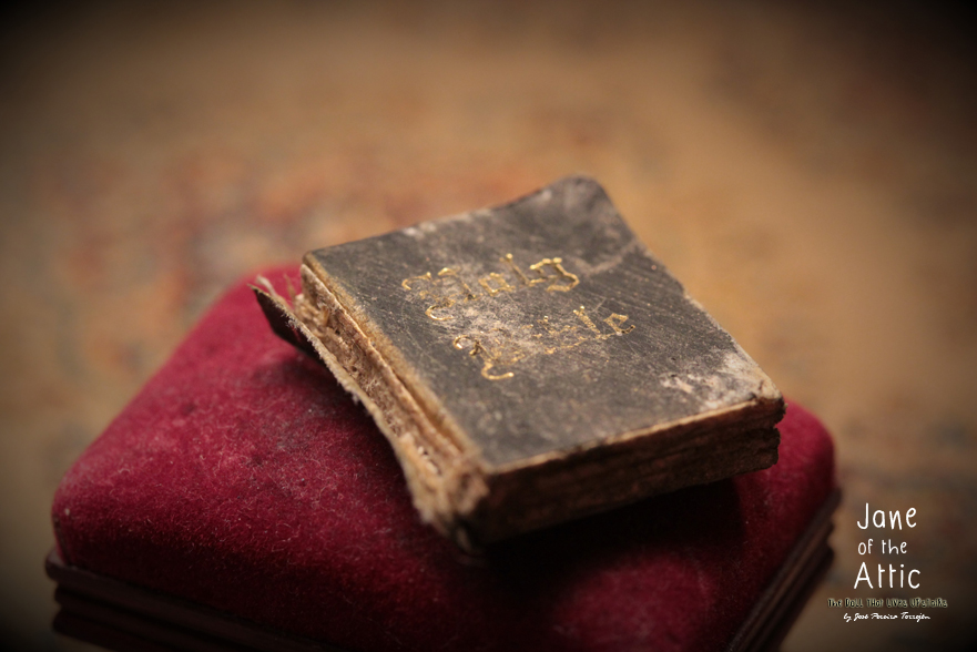 Rust and Steel: Jane's attic update No XLIX: An old bible.