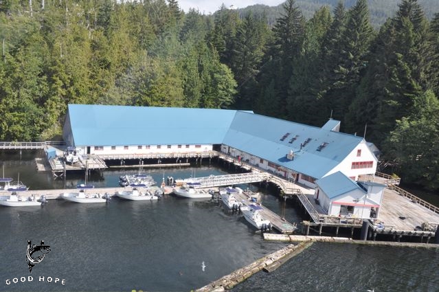 Salmon Fishing Blog: Salmon Fishing Lodges