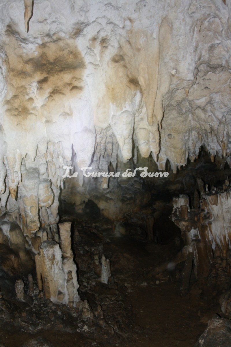 El Blog de La Curuxa del Sueve: CUEVA DE PANDO