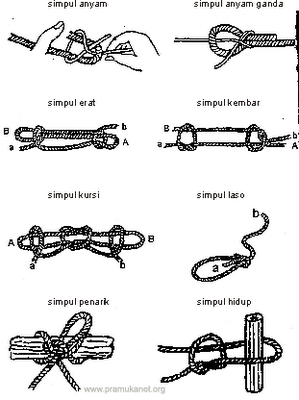 Simpul dan Ikatan dalam Pramuka ~ Seputar Pendidikan SD
